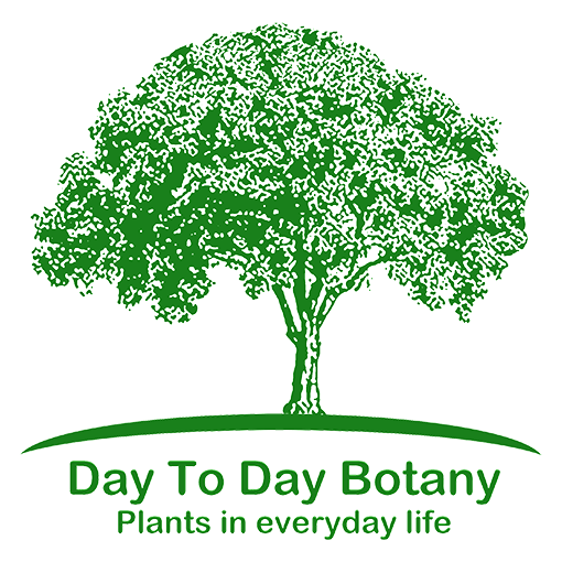 Building a relationship - Day To Day Botany